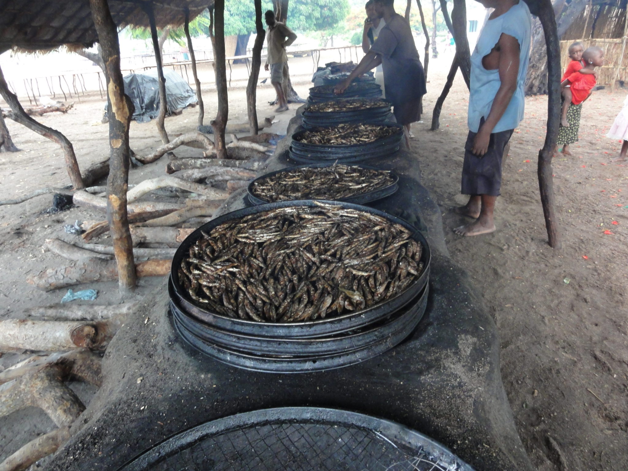 Fisheries Resource Management Group – Establishment of a Sustainable ...